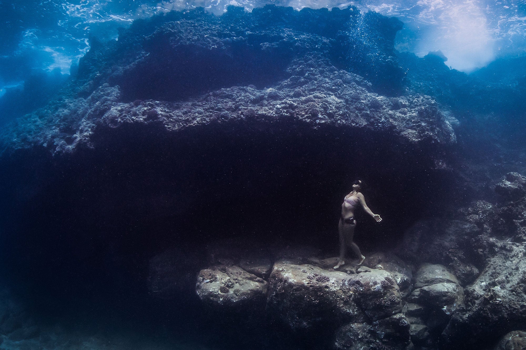 A Rooted Relationship – Flow