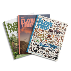 Subscribe to The Flow Trip