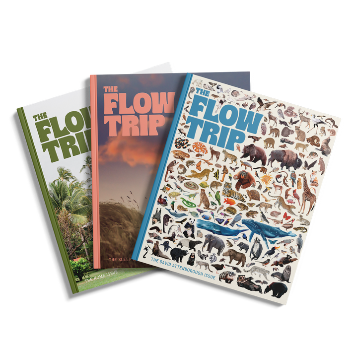 Subscribe to The Flow Trip
