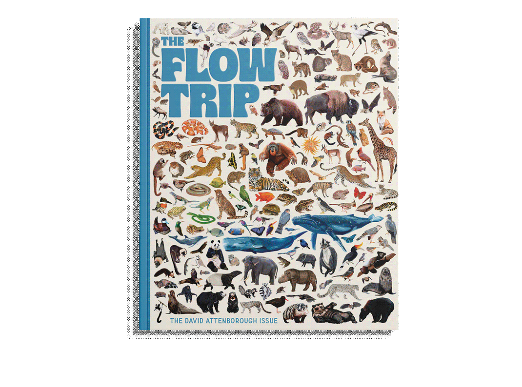 The Flow Trip