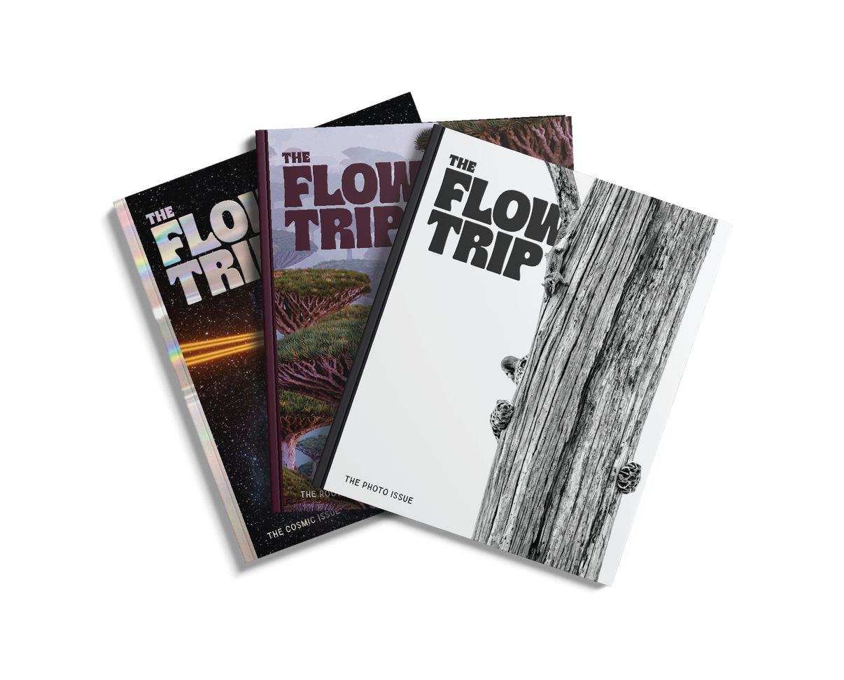 Subscribe to The Flow Trip